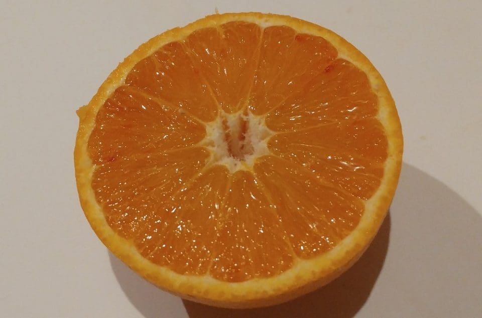 Citrus sinensis "Valencia Midknight", Orange blonde tardive ...